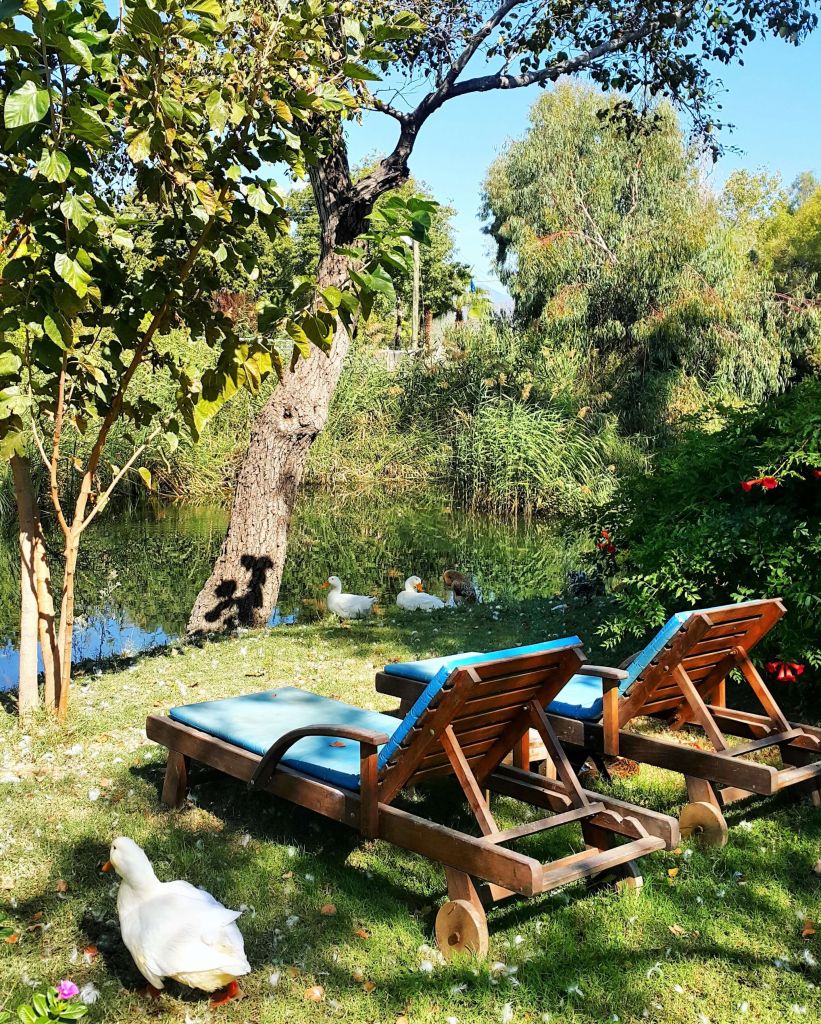 Fethiye'de Ekolojik Tatil: Otel Yonca Lodge | Gezenti Anne