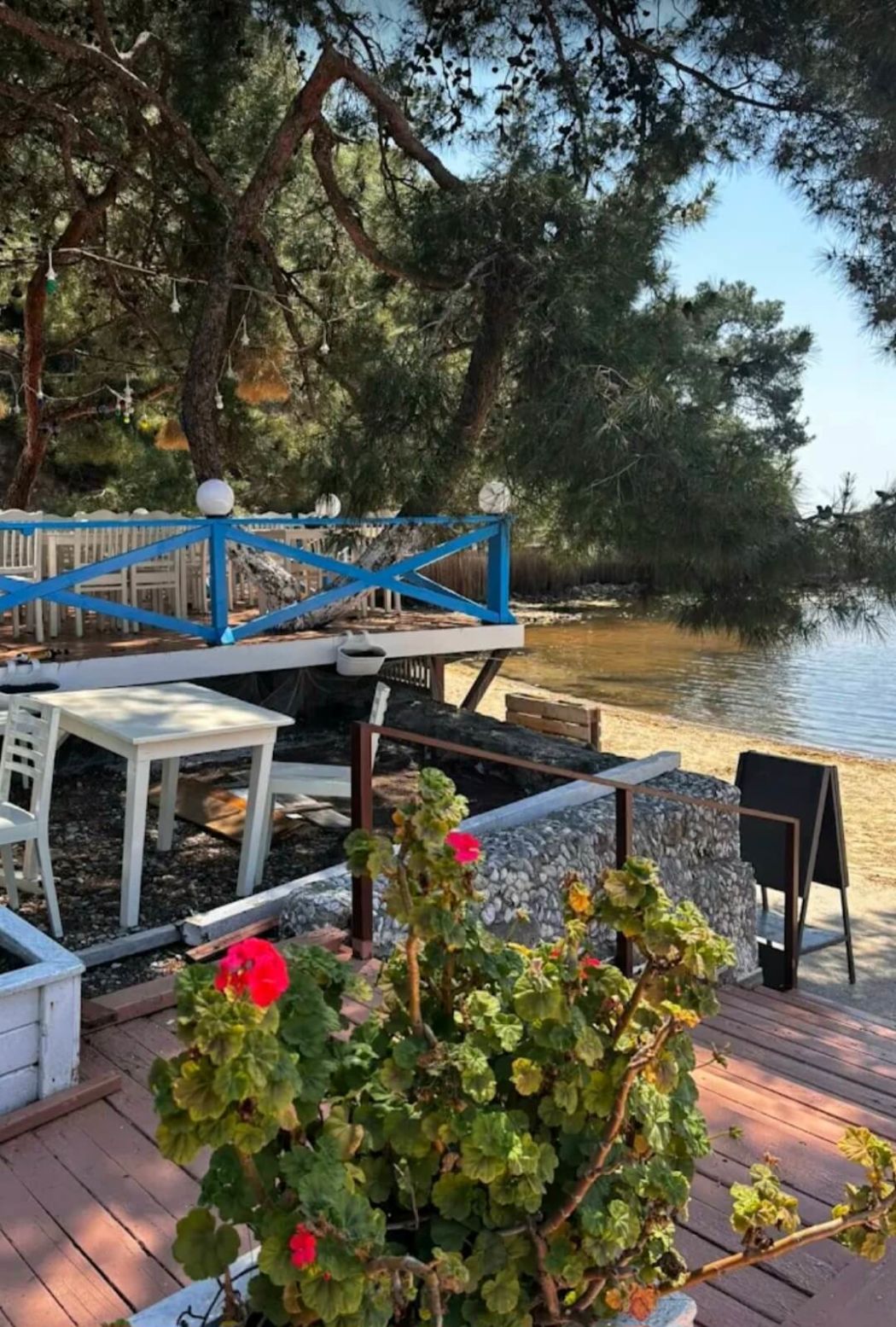 En İyi 5 Heybeliada Plajı ve 2025 Giriş Ücretleri | Gezenti Anne