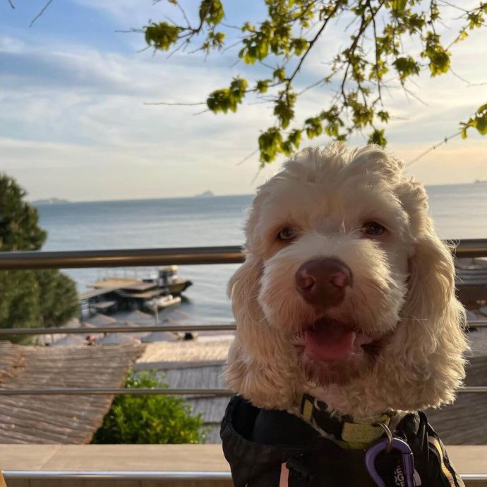 Kınalıada’da Denizin Müzikle Buluştuğu Plaj, Noya Beach | Gezenti Anne