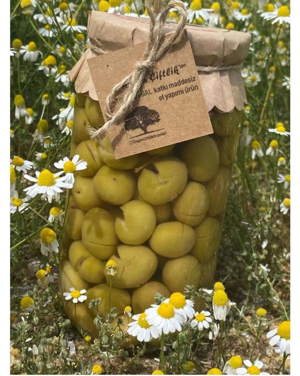 Doğan Çiftlik Ürünleri | Gezenti Anne