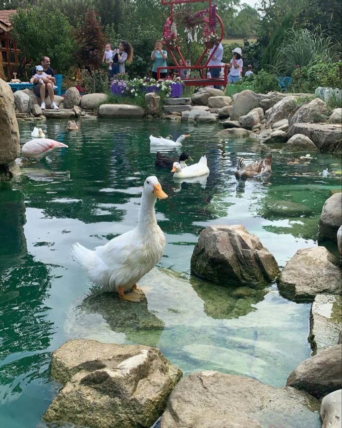 Çatalca’da Şelale ve Oyun Parklı Kahvaltı Mekanı, Doğa Köyü 2025 ...