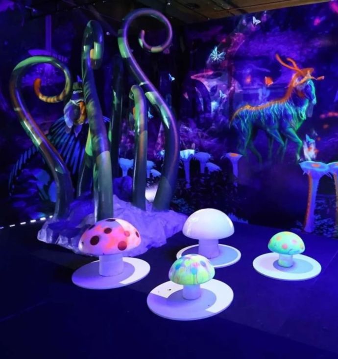 Türkiye’nin İlk ve Tek Holografik Eğlence Parkı DIGIZOO Nerede? Giriş ...