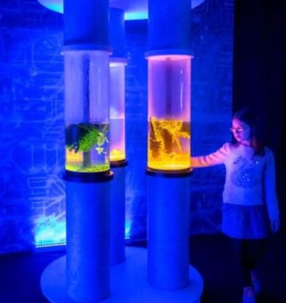 Türkiye’nin İlk ve Tek Holografik Eğlence Parkı DIGIZOO Nerede? Giriş ...