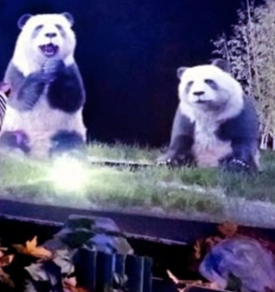 Türkiye’nin İlk ve Tek Holografik Eğlence Parkı DIGIZOO Nerede? Giriş ...